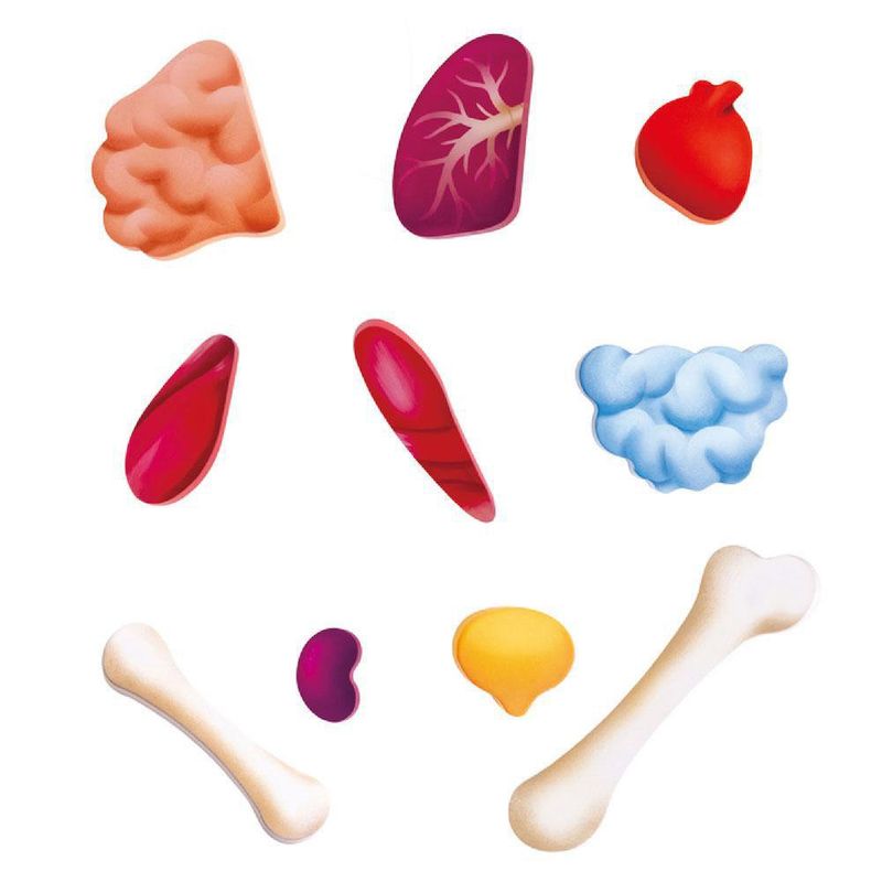 Hape Rompecabezas Anatómico 60 Pzas Grandes órganos De Madera Niños 4